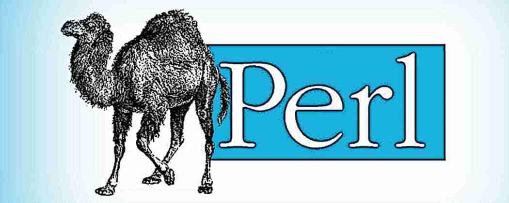 Cómo Instalar Perl En Un Servidor Desplegado En Clouding Wordpress